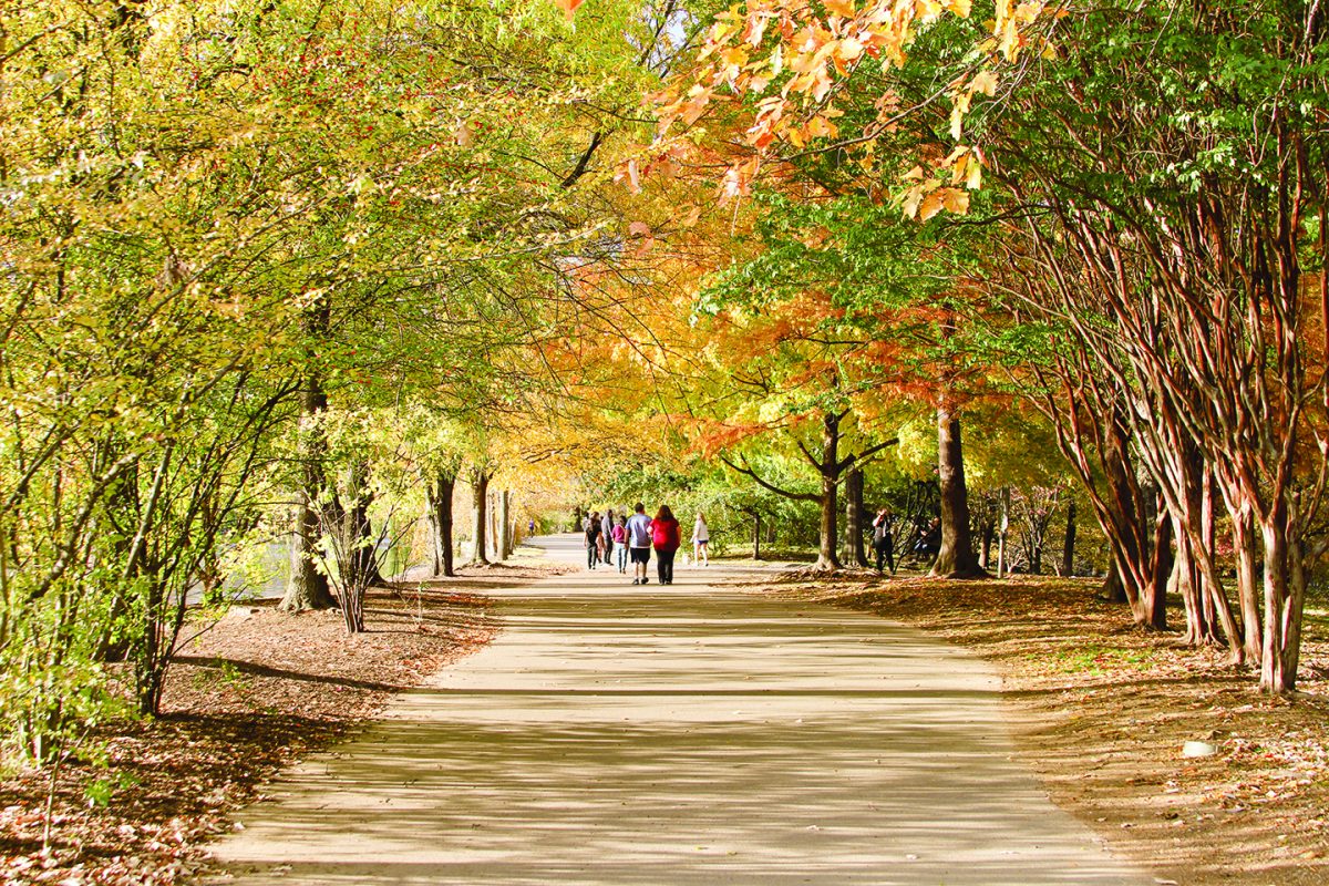 Centennial Park Announces Fall Programming – The Tennessee Tribune