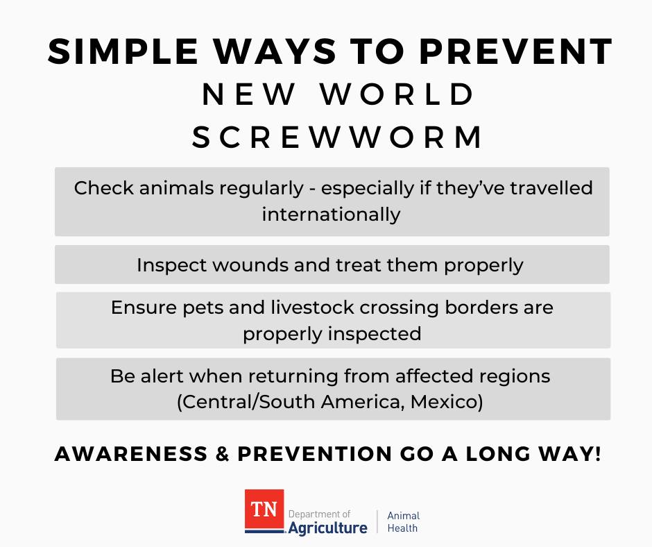Tennessee State Veterinarian Issues Alert for New World Screwworm – The ...